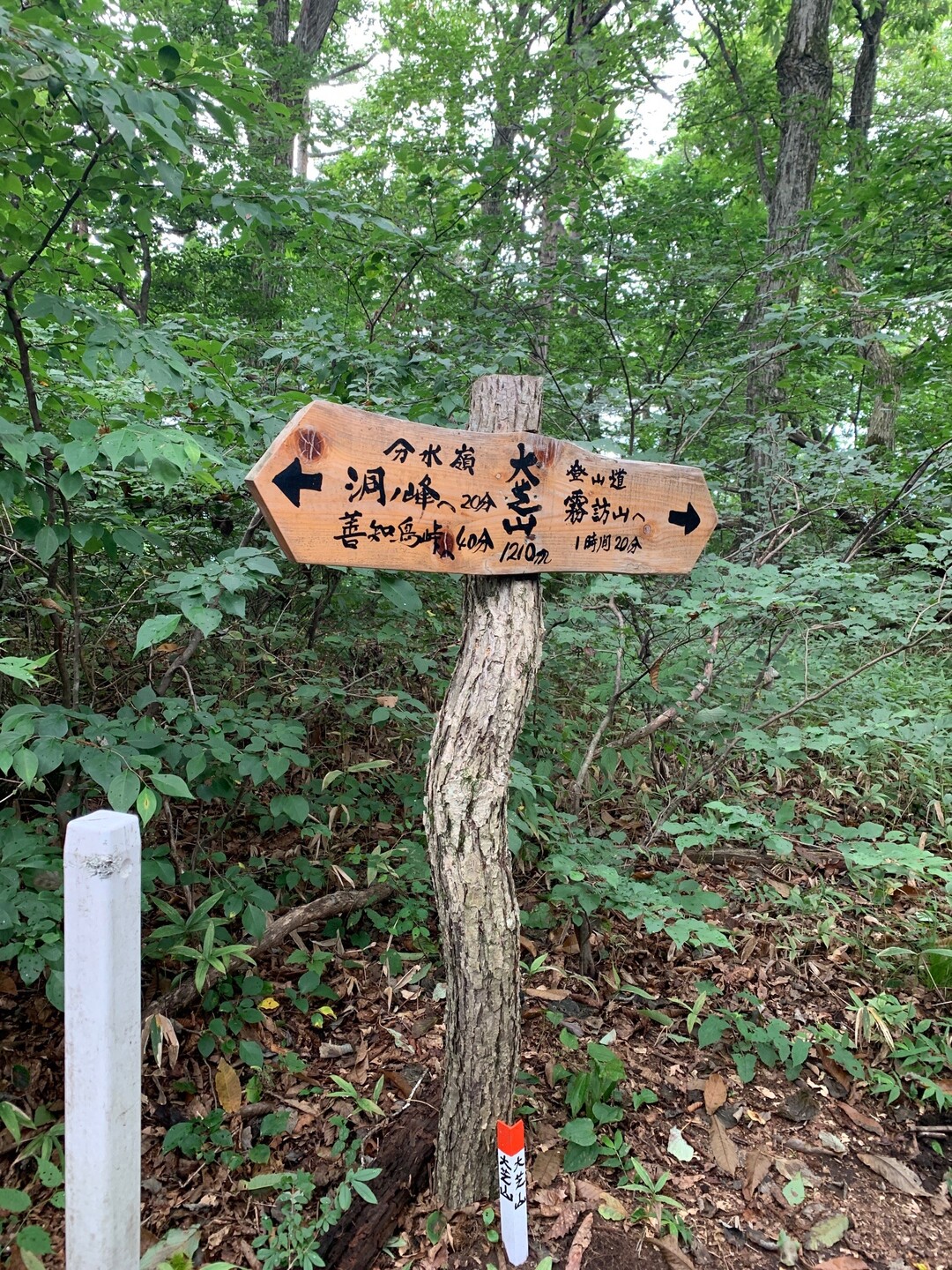 今日は塩尻市側から霧訪山に登ってきました... / デッカイおじさんさんのモーメント | YAMAP / ヤマップ