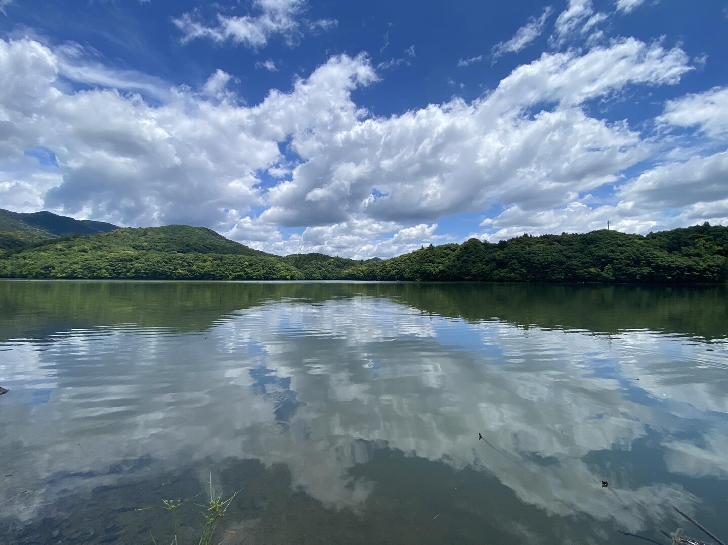 霧山・赤松山 / MASAPさんの霧山の活動データ | YAMAP / ヤマップ