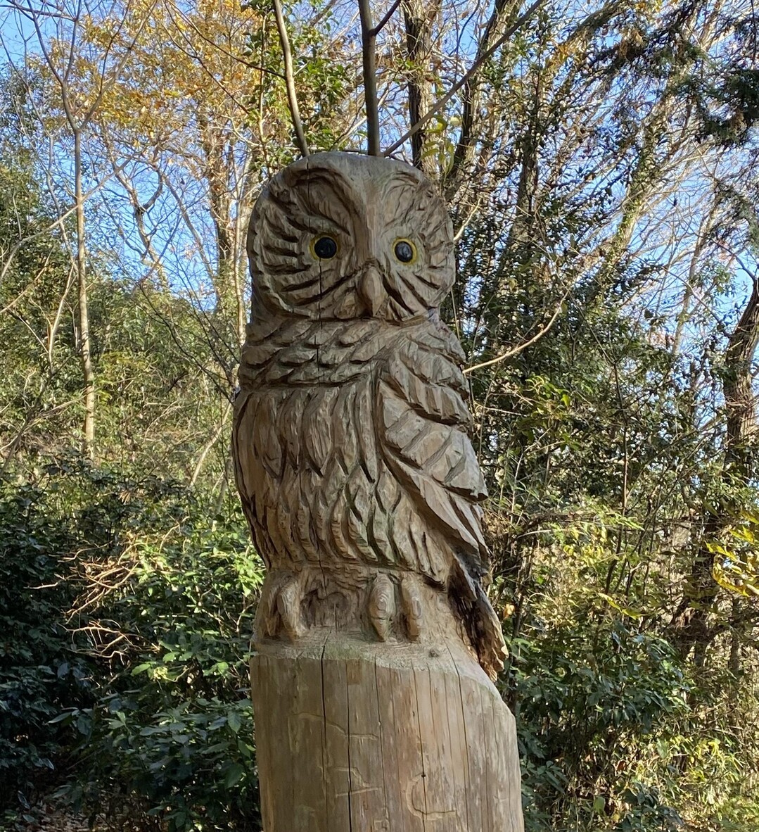 南高尾とシモバシラ / woodsfanさんの高尾山・陣馬山・景信山の活動データ | YAMAP / ヤマップ