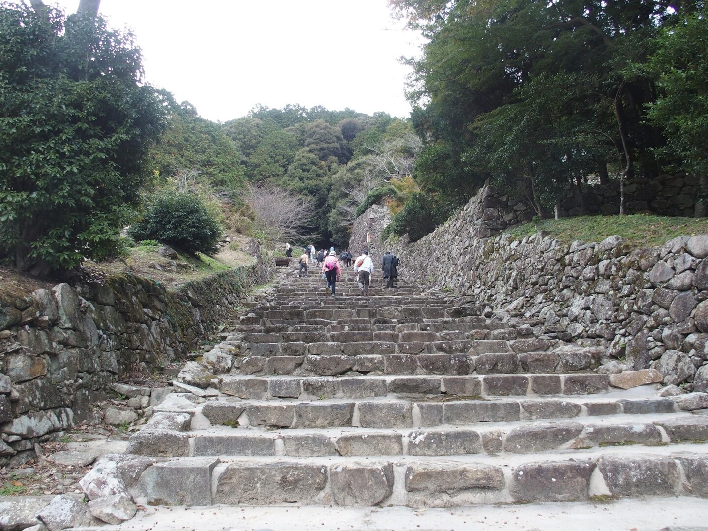 安土城を訪ねて…安土山 / masazyさんの繖山（観音寺山）の活動データ | YAMAP / ヤマップ