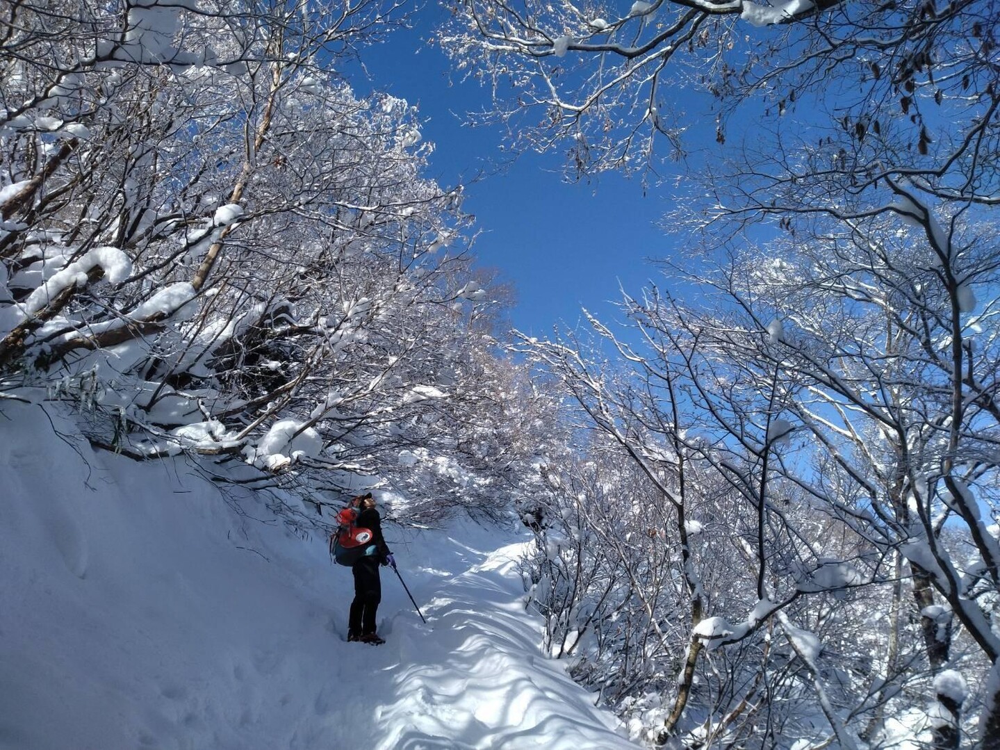 雪遊び☃ / shi-ruさんの貝月山の活動データ | YAMAP / ヤマップ