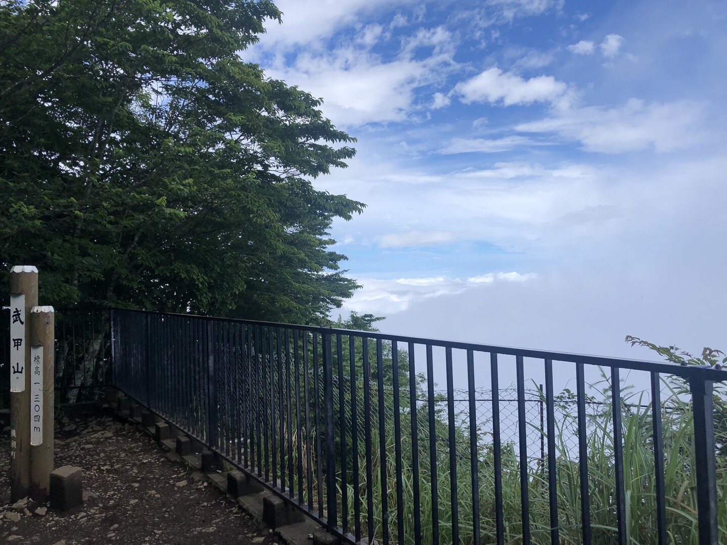 武甲山・小持山・大持山 / Neat_neoさんの武甲山・伊豆ヶ岳・小持山の活動データ | YAMAP / ヤマップ