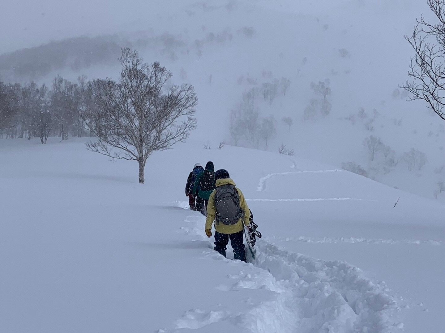 ニセコモイワ / komariさんのニセコアンヌプリ・イワオヌプリ・チセヌプリの活動データ | YAMAP / ヤマップ