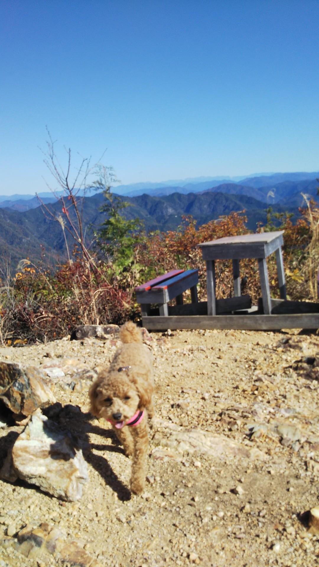 納古山 / daigo777さんの納古山の活動データ | YAMAP / ヤマップ