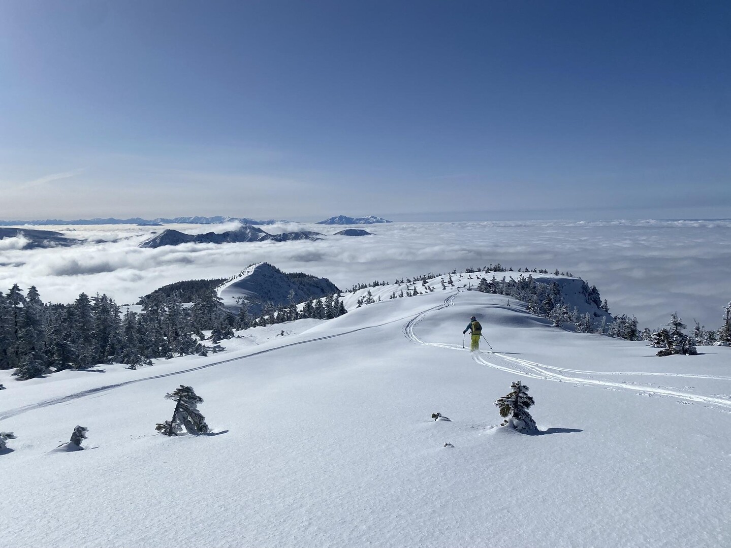 苗場山 BC ⛷️🏂 / satorinさんの苗場山・赤倉山・佐武流山の活動データ | YAMAP / ヤマップ