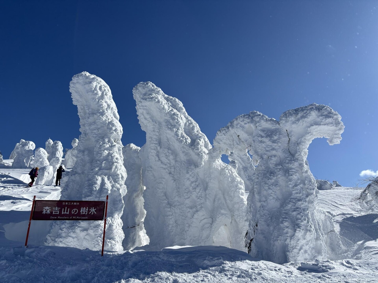 石森・森吉山 / taraさんの森吉山の活動データ | YAMAP / ヤマップ
