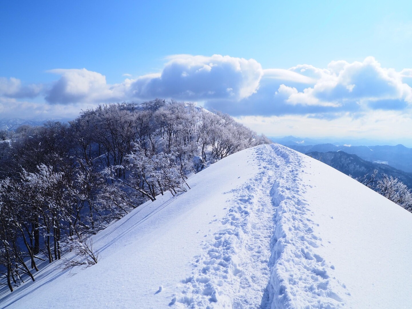 『あんたも好きねぇ』今日も五頭山 / 天ぷらケンジJyJyさんの五頭山・菱ヶ岳・宝珠山の活動データ | YAMAP / ヤマップ