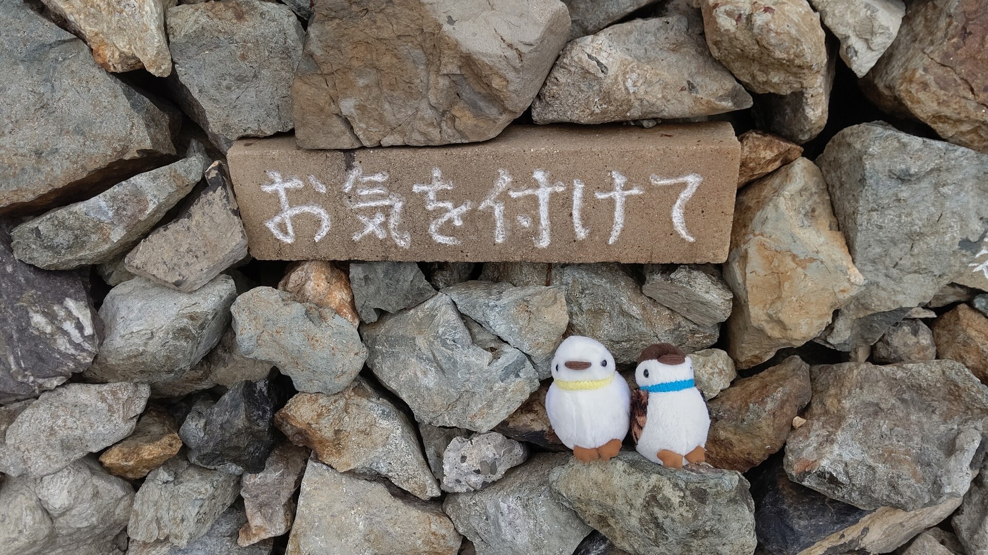 *yukapico**のページ | YAMAP / ヤマップ