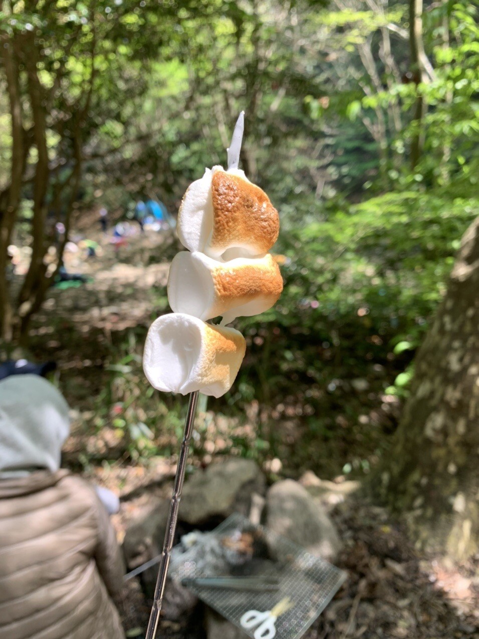 GW、家族と市ケ原でBBQ🥓🥩🍗🍖 / はじめさんの神戸市の活動データ | YAMAP / ヤマップ