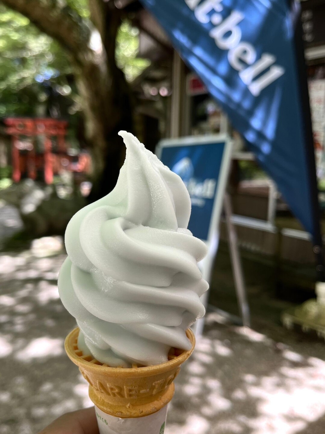 真夏の日差し 金剛山🌞 / OLD HOUSEさんの金剛山・二上山・大和葛城山の活動データ | YAMAP / ヤマップ