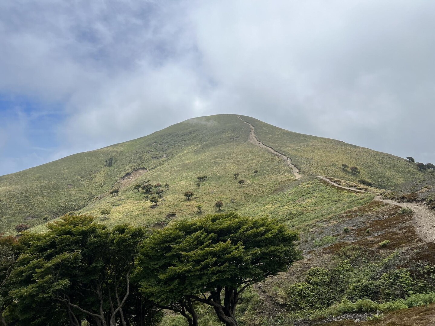 多志田山・藤原岳・銚子岳・静ヶ岳・竜ヶ岳 / togonovoさんの藤原岳・御池岳の活動データ | YAMAP / ヤマップ