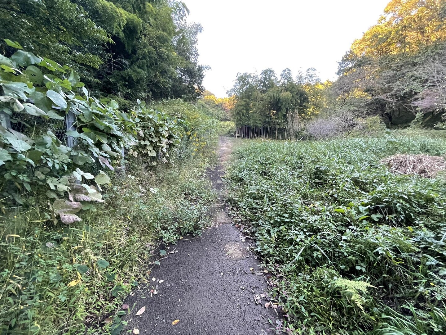 tsk-chaponさんの投稿したフィールドメモ | YAMAP / ヤマップ