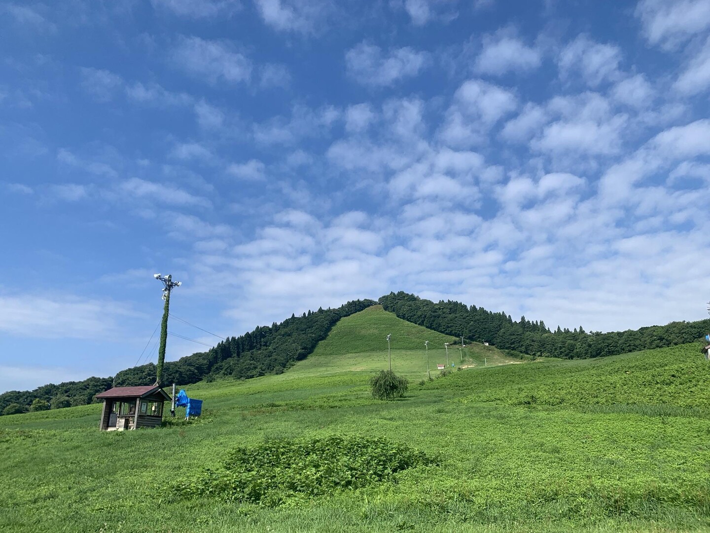 R6.8.3 薬師山 / あおかつさんの七座山の活動データ | YAMAP / ヤマップ