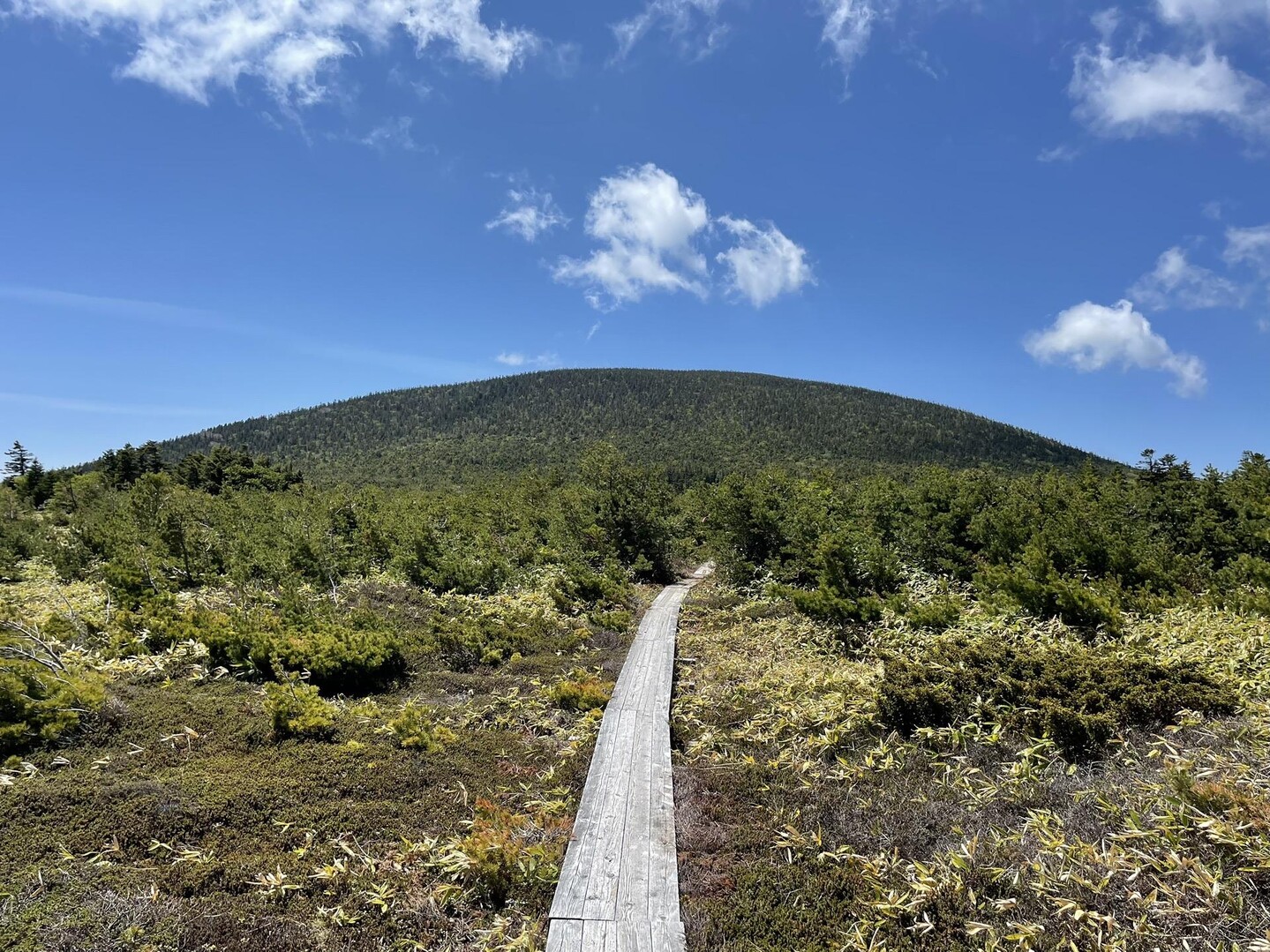 一切経山・東吾妻山 / Takeshiさんの吾妻山・一切経山の活動データ | YAMAP / ヤマップ
