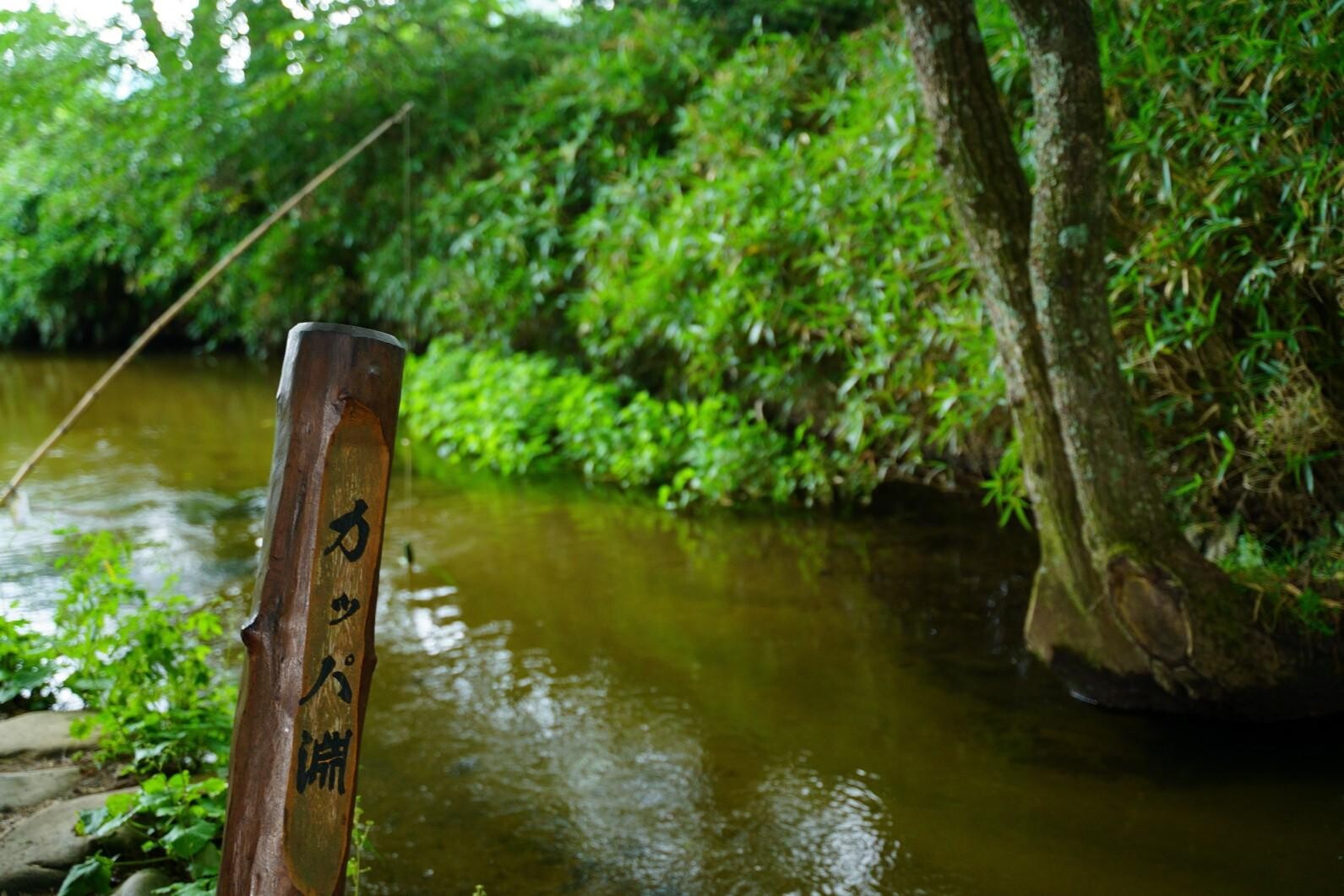 カッパ淵 - 遠野物語の世界を散歩する / Gonzaburouさんの六角牛山の活動データ | YAMAP / ヤマップ