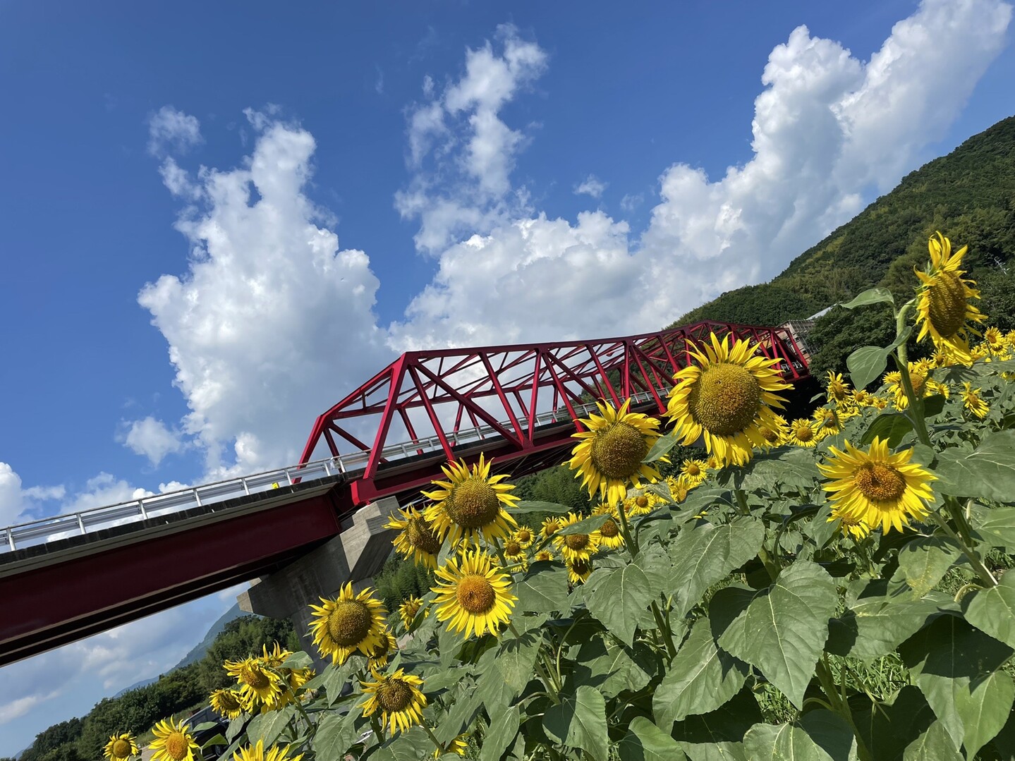 2022.08.08(月) 07:17 / 羽島綾瀬さんのモーメント | YAMAP / ヤマップ