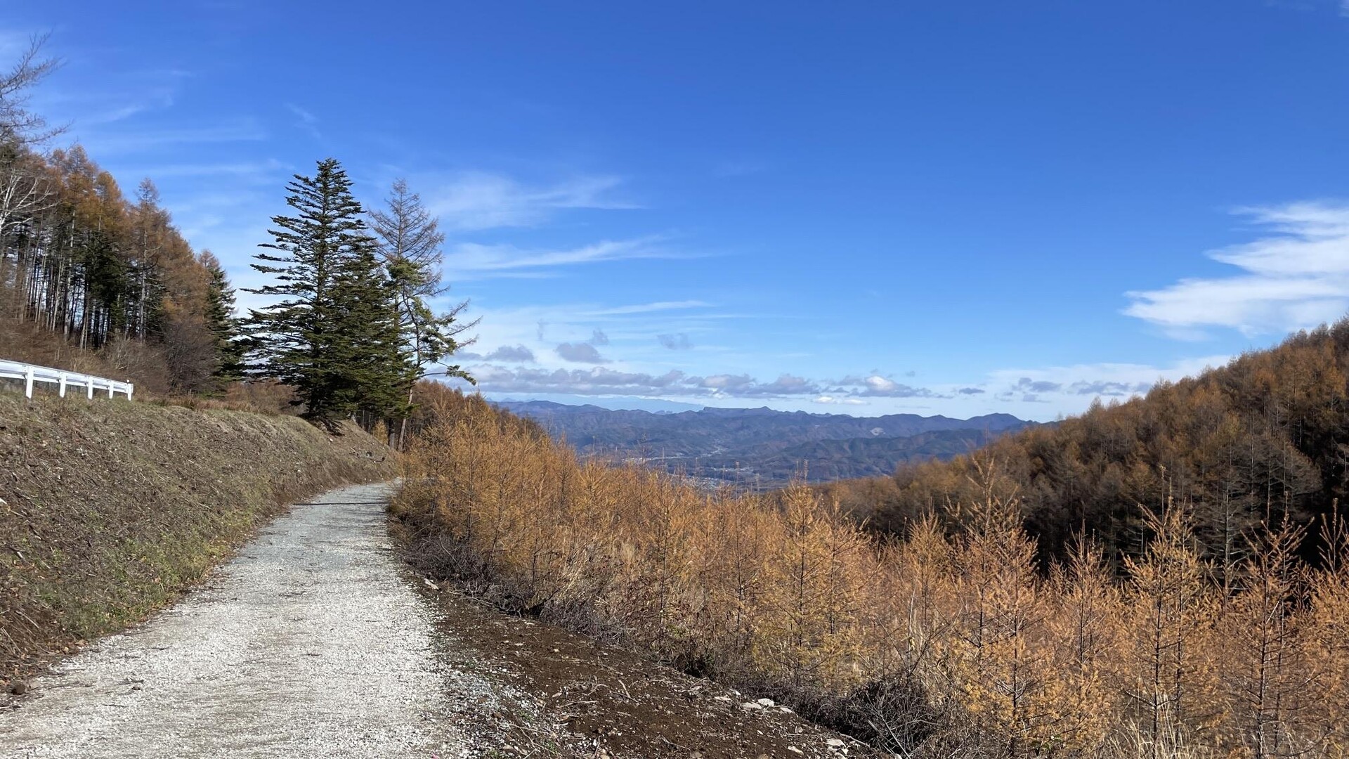 OMM2023 Score medium / mcnbさんの蓼科山・横岳・縞枯山の活動データ | YAMAP / ヤマップ