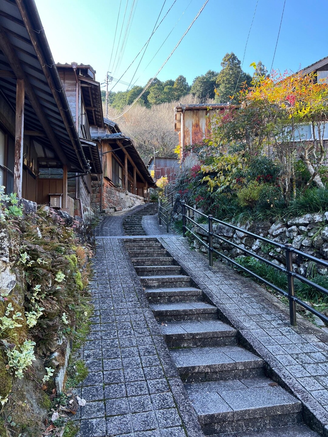 ken-endoさんの投稿したフィールドメモ | YAMAP / ヤマップ