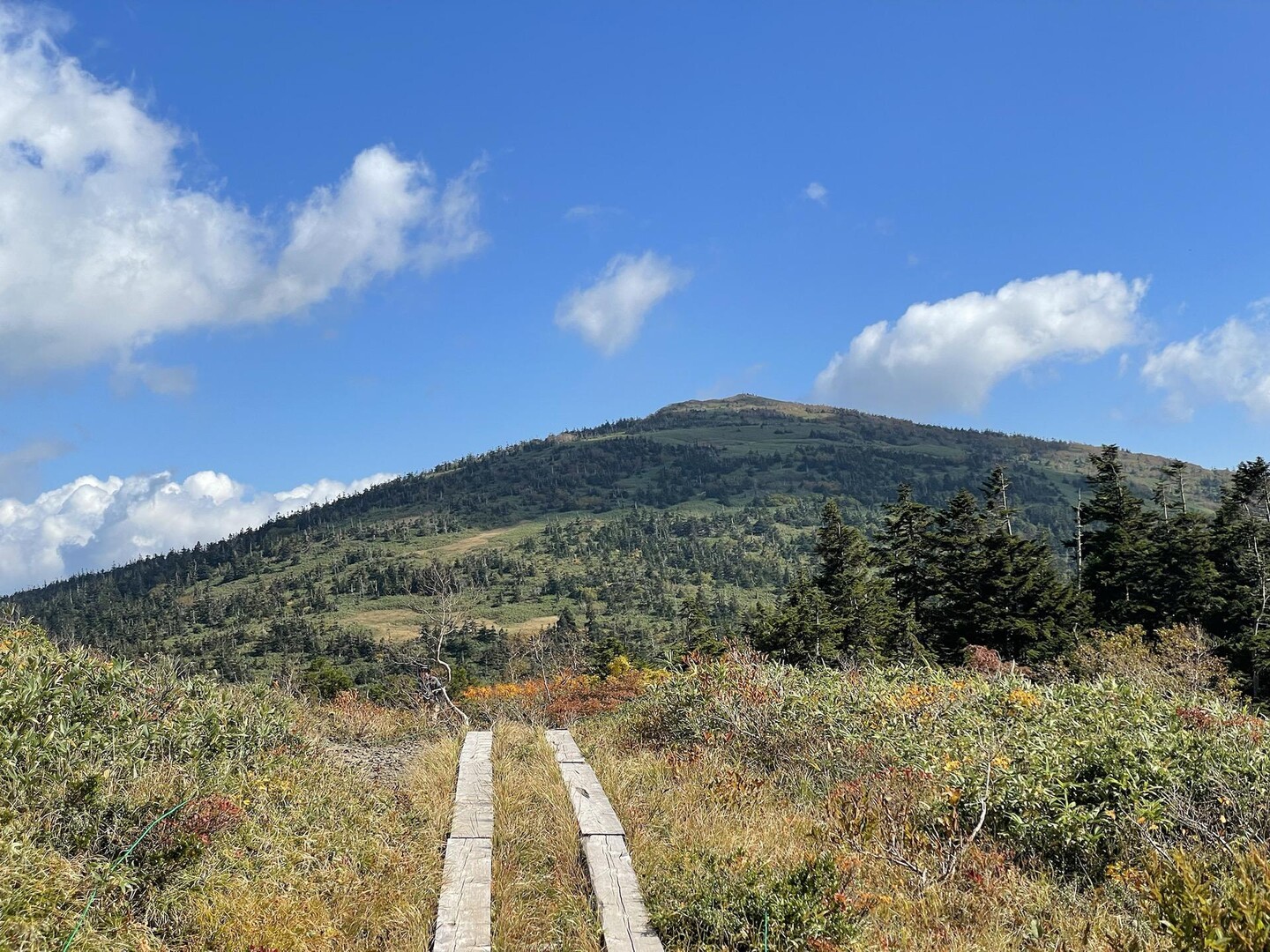 石森・森吉山・一ノ腰 / Benさんの森吉山の活動日記 | YAMAP / ヤマップ