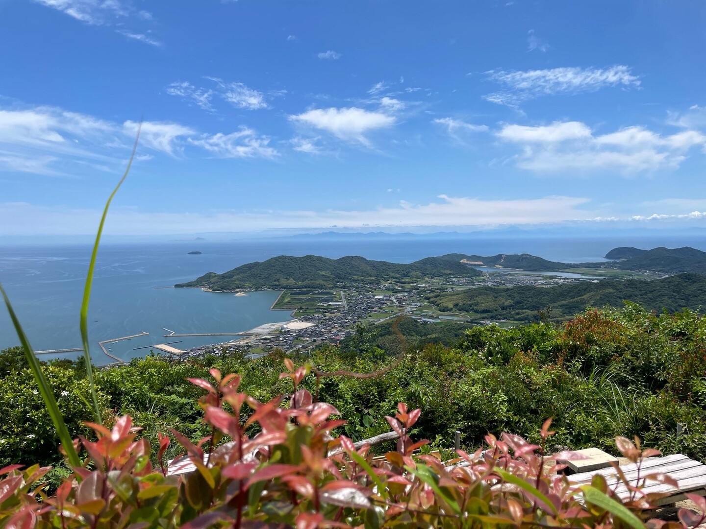 行者山・東山・亀尾山（大海山） / Mimosaさんの大海山（亀尾山）・勘十郎岳・福西山の活動データ | YAMAP / ヤマップ