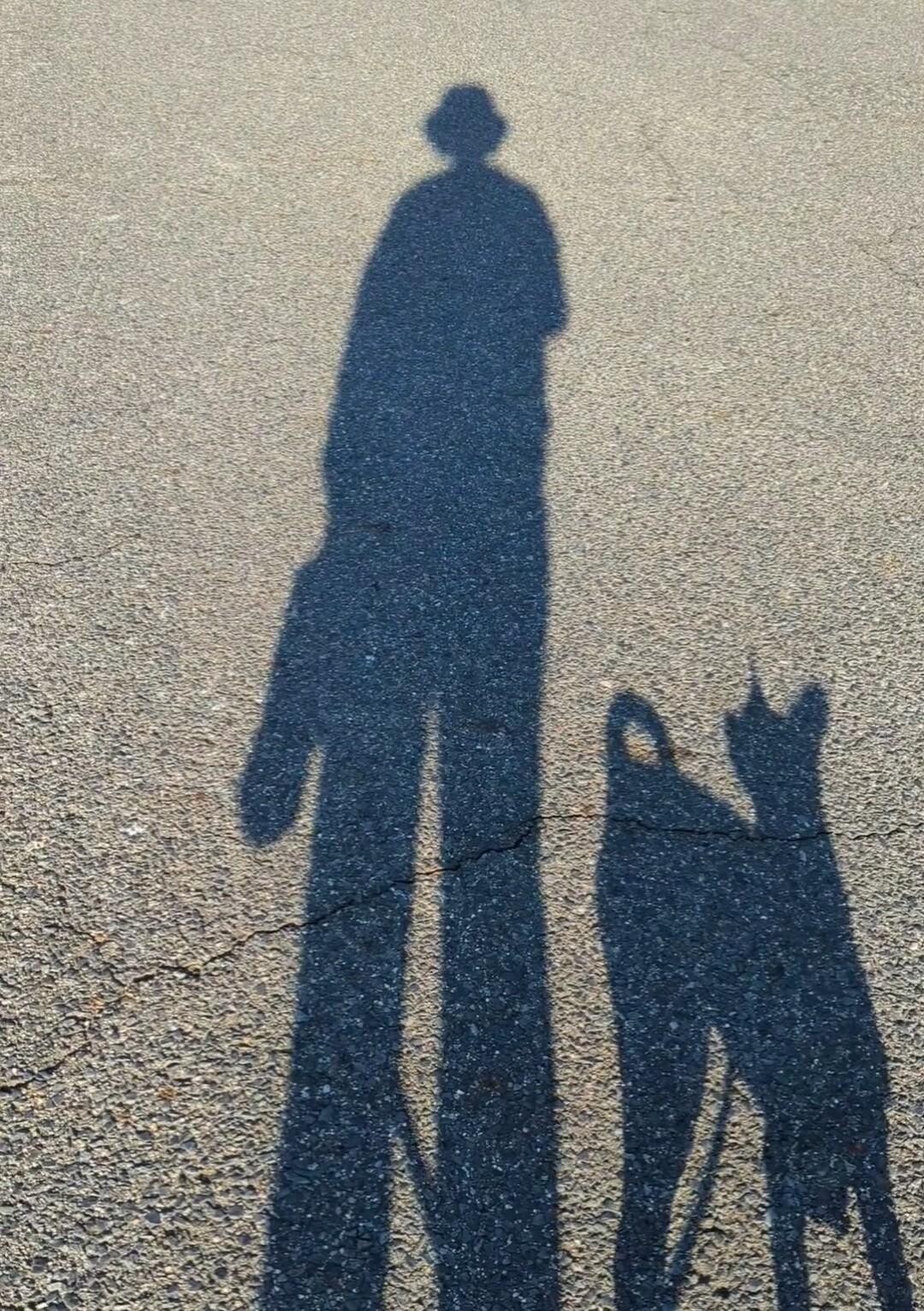 白い息 イヌミミの影 際立てリ🐾 夏... / Soraさんのモーメント | YAMAP / ヤマップ