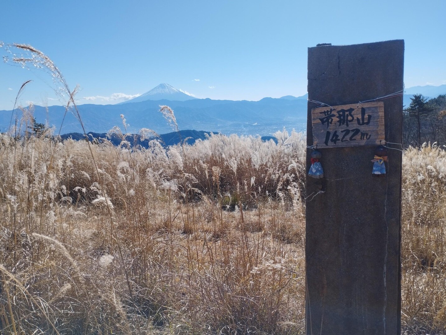 帯那山・奥帯那山 / えすこさんの帯那山の活動日記 | YAMAP / ヤマップ