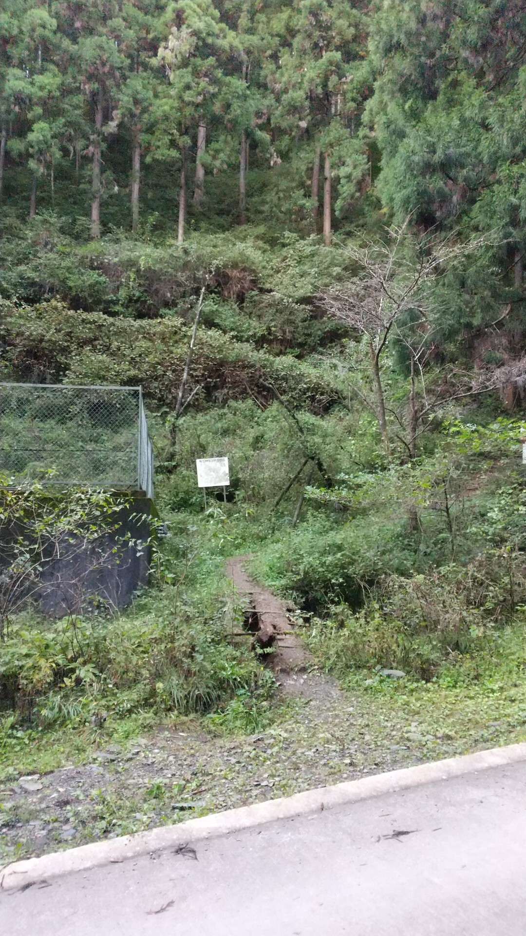 Hectorさんの投稿したフィールドメモ | YAMAP / ヤマップ