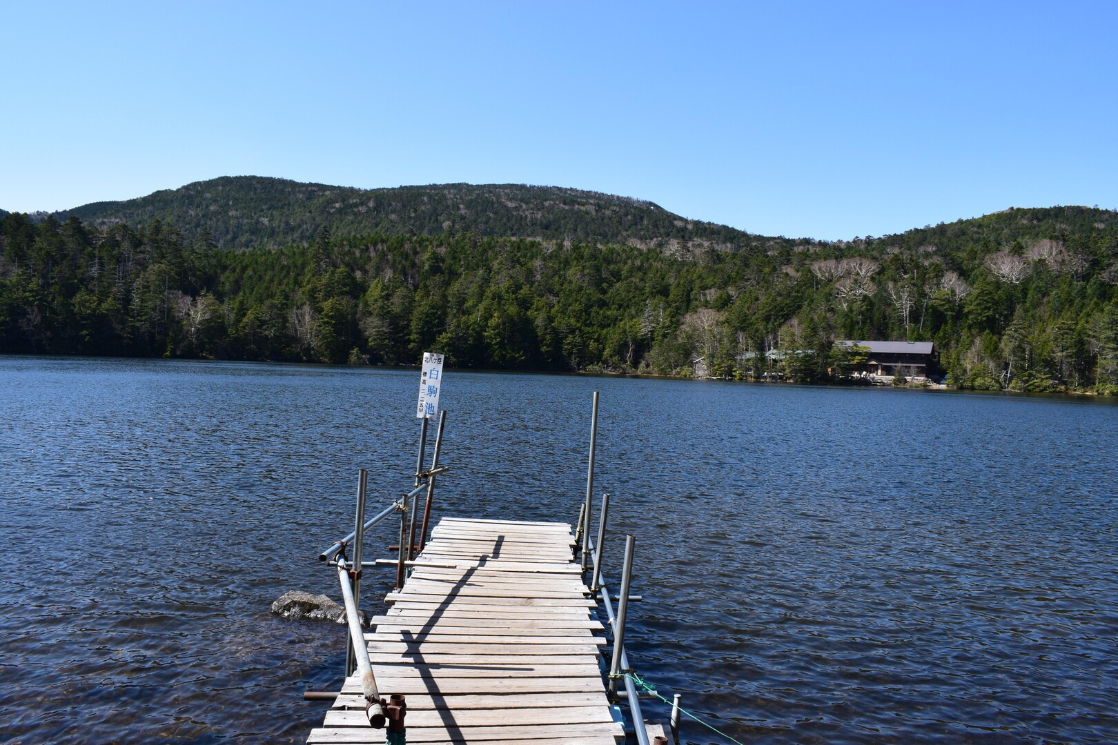 白駒池と高見石と丸山(茅野市・佐久穂町) / T64さんの八ヶ岳（赤岳・硫黄岳・天狗岳）の活動データ | YAMAP / ヤマップ
