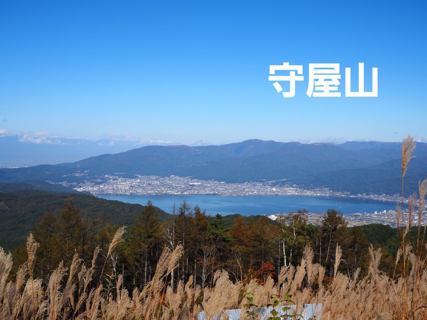 🐰 / mikaさんの守屋山の活動データ | YAMAP / ヤマップ