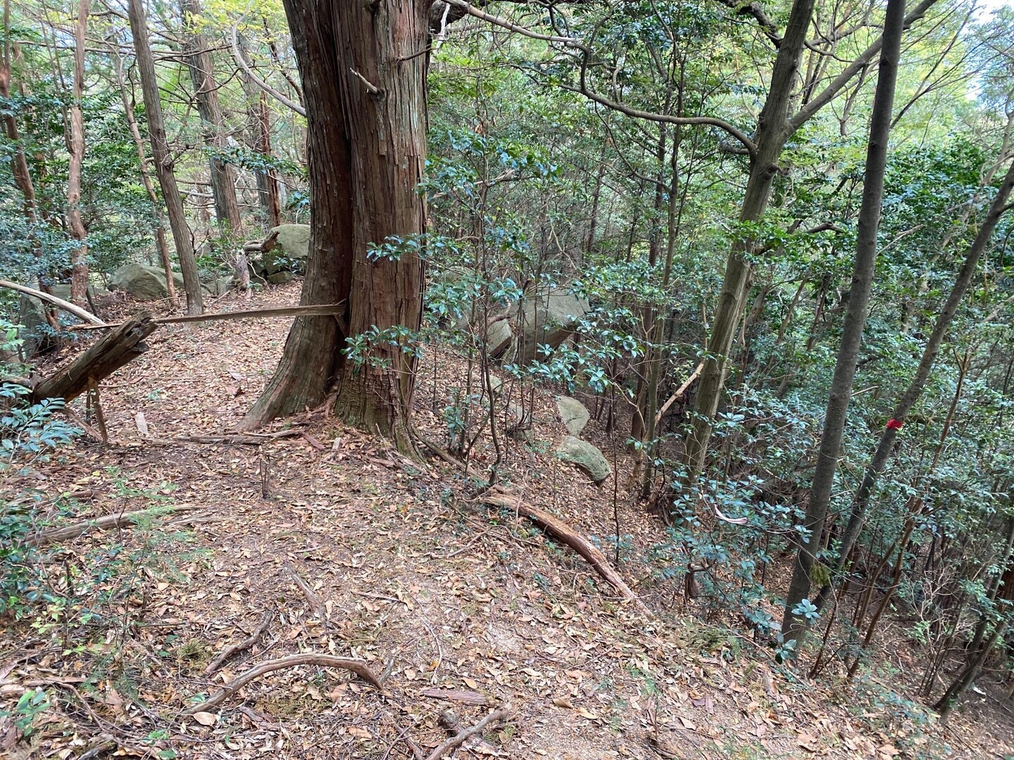 masa7887さんの投稿したフィールドメモ | YAMAP / ヤマップ