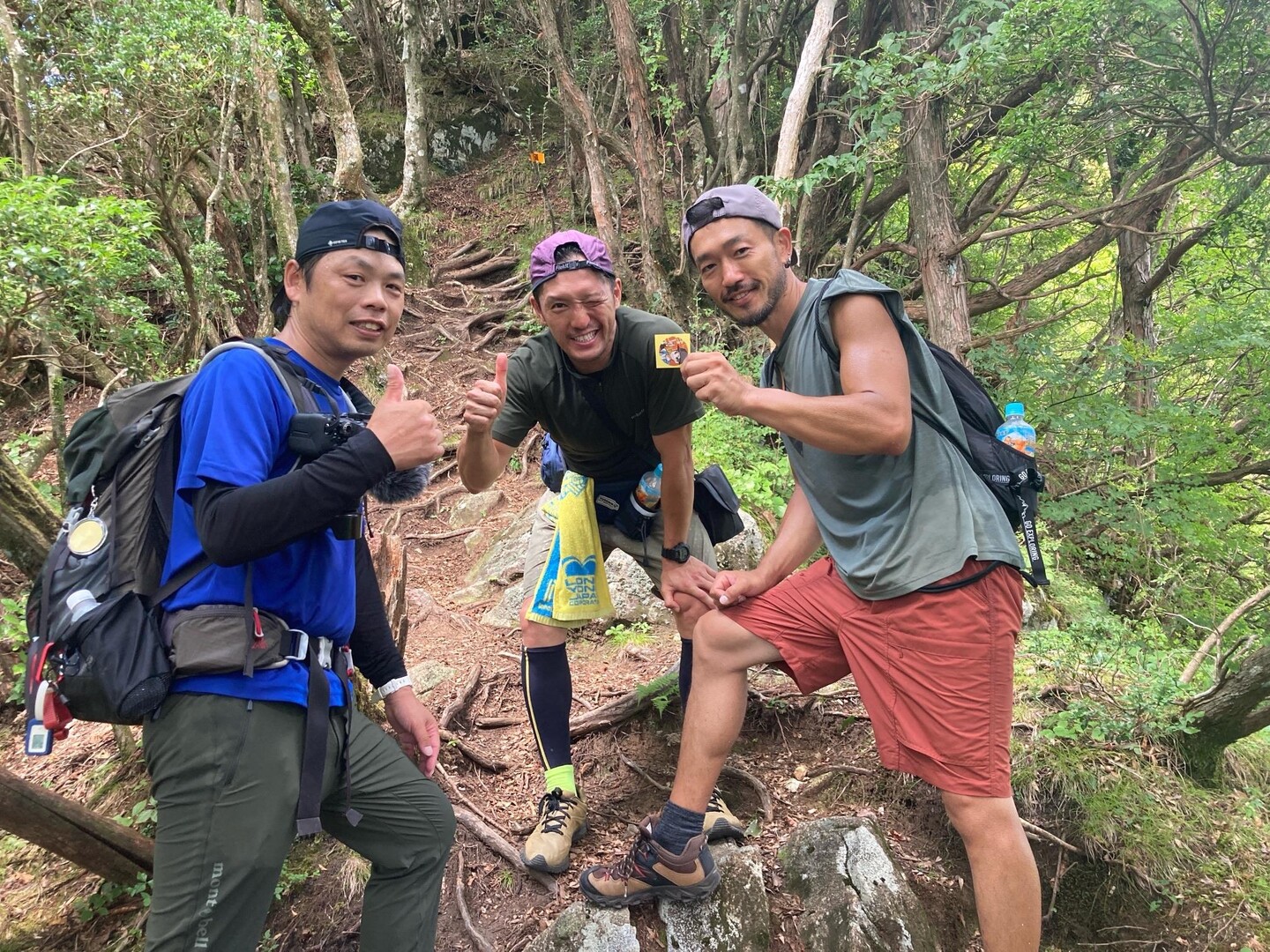 局ヶ岳【香肌イレブン・2】〜遠征中のshinji登山部の方と遭遇‼︎〜 / T-boyさんの局ヶ岳の活動データ | YAMAP / ヤマップ