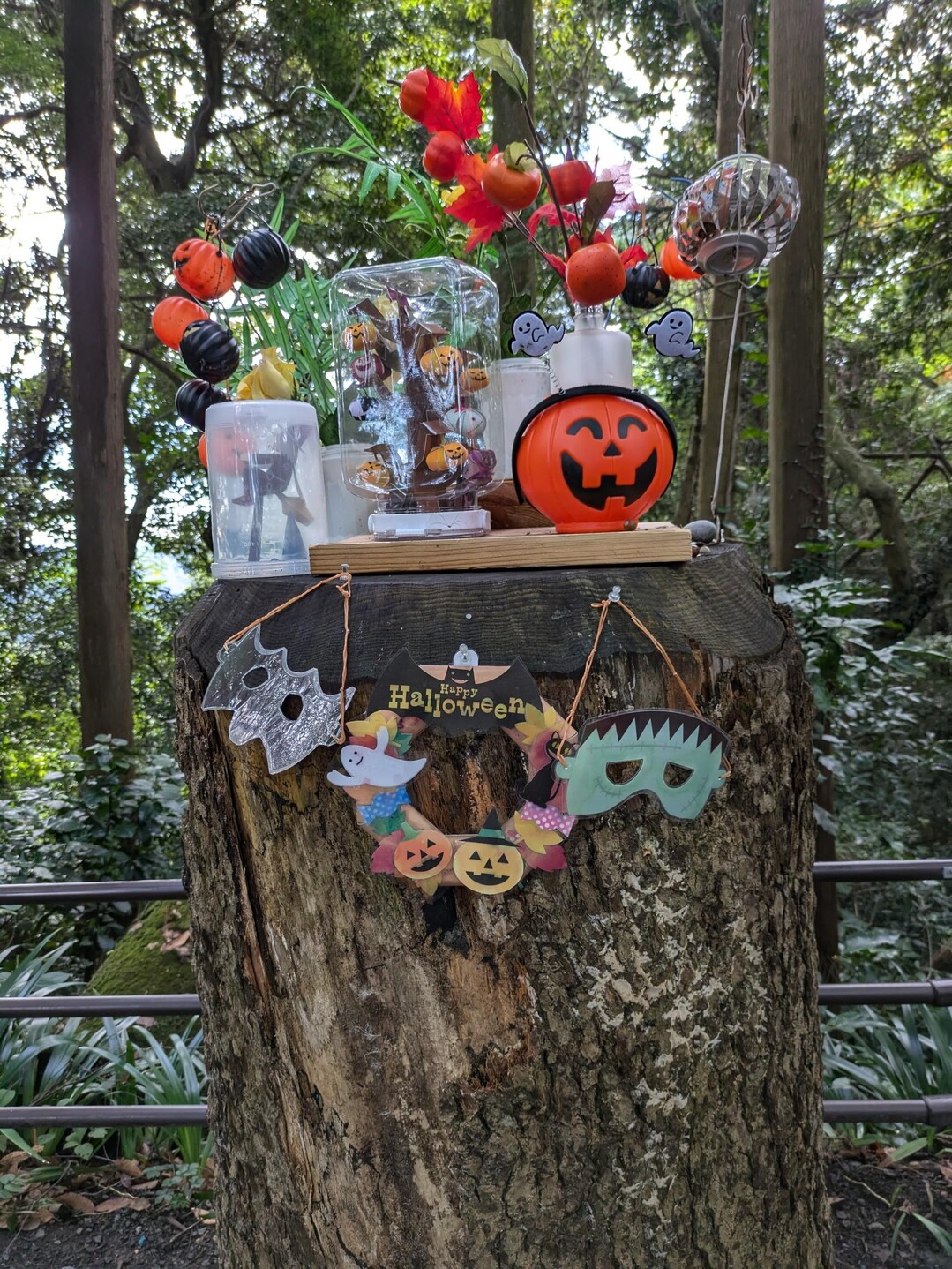 高尾山・神変山 / 親方さんの高尾山・陣馬山・景信山の活動日記へのコメント一覧 | YAMAP / ヤマップ