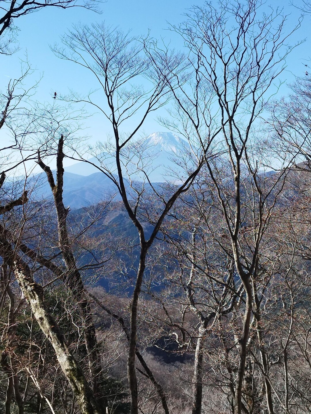 畦ヶ丸山・屏風岩山（バリルート） / horitakaさんの大室山・畦ヶ丸山・菰釣山の活動データ | YAMAP / ヤマップ