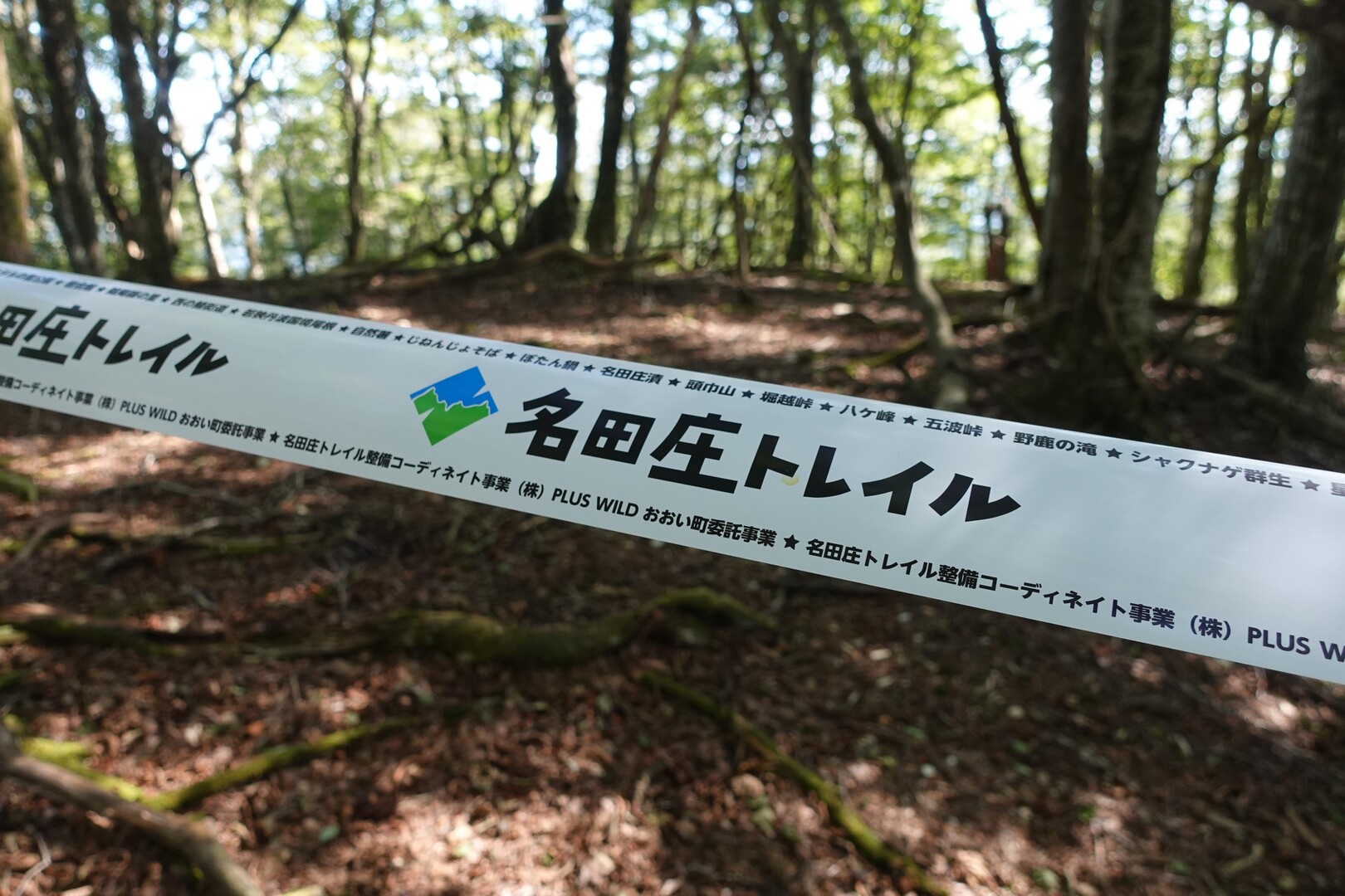 【京都府の山54】24度の誘惑（美山町山森-頭巾山ピストン） / persさんの頭巾山の活動データ | YAMAP / ヤマップ