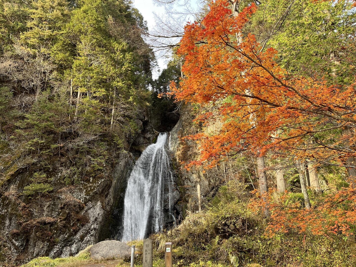 1.2. 銚子の滝(丹生川) 11/17... / Jさんのモーメント | YAMAP / ヤマップ