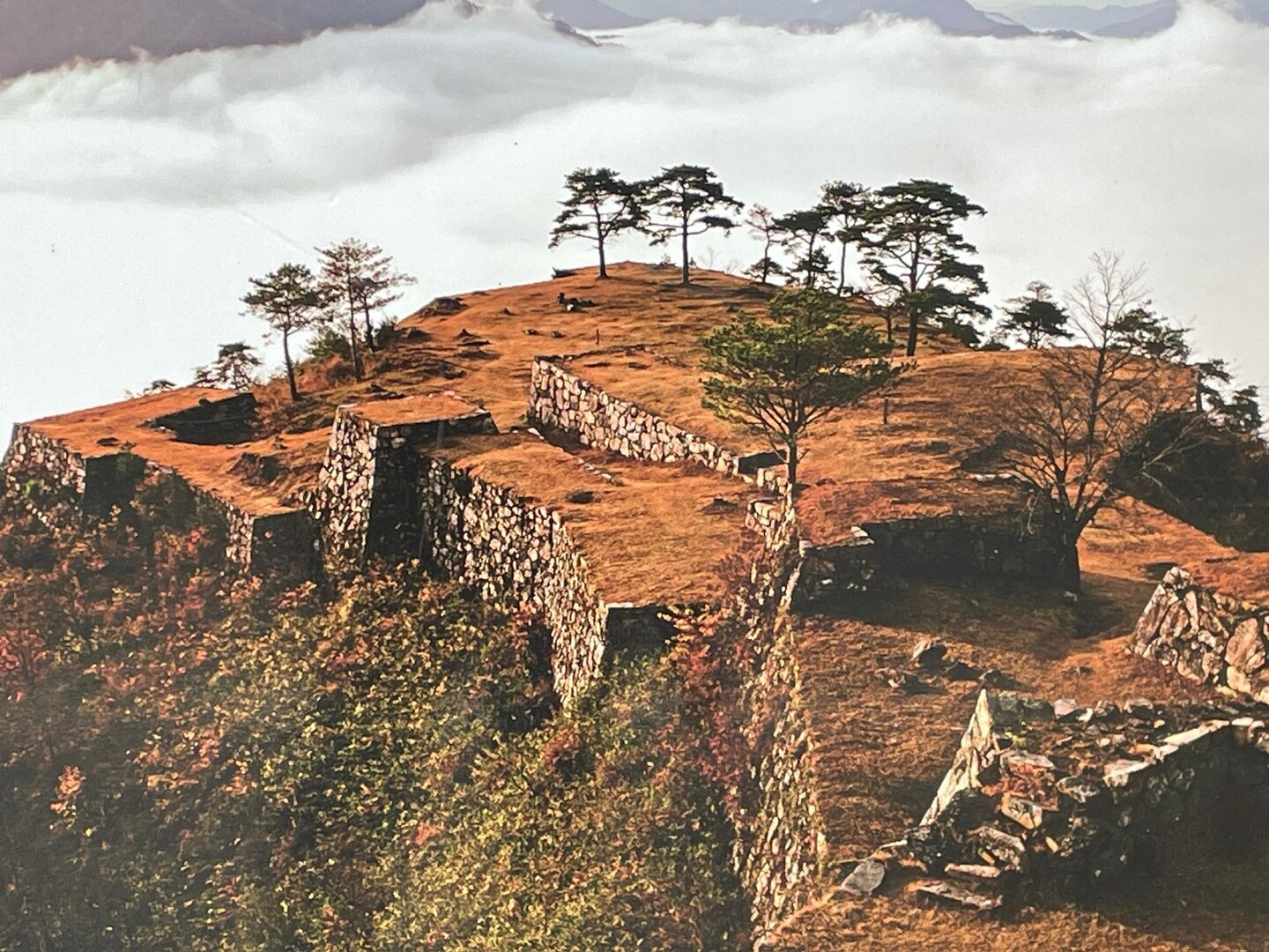 NO3/3煩悩の数⛰️登頂108番目⛰️竹田城山 / マサムネさんの但馬竹田・竹田城・朝来山の活動データ | YAMAP / ヤマップ