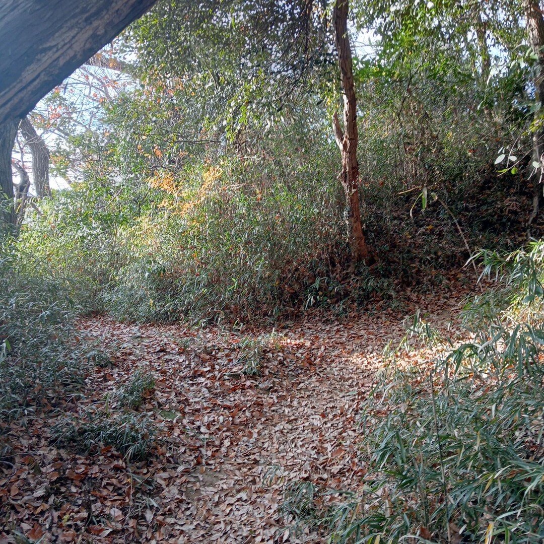 NTNさんの投稿したフィールドメモ | YAMAP / ヤマップ