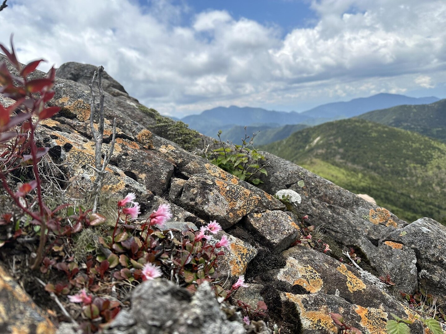 甲武信ヶ岳・三宝山 / mayuさんの甲武信ヶ岳の活動データ | YAMAP / ヤマップ