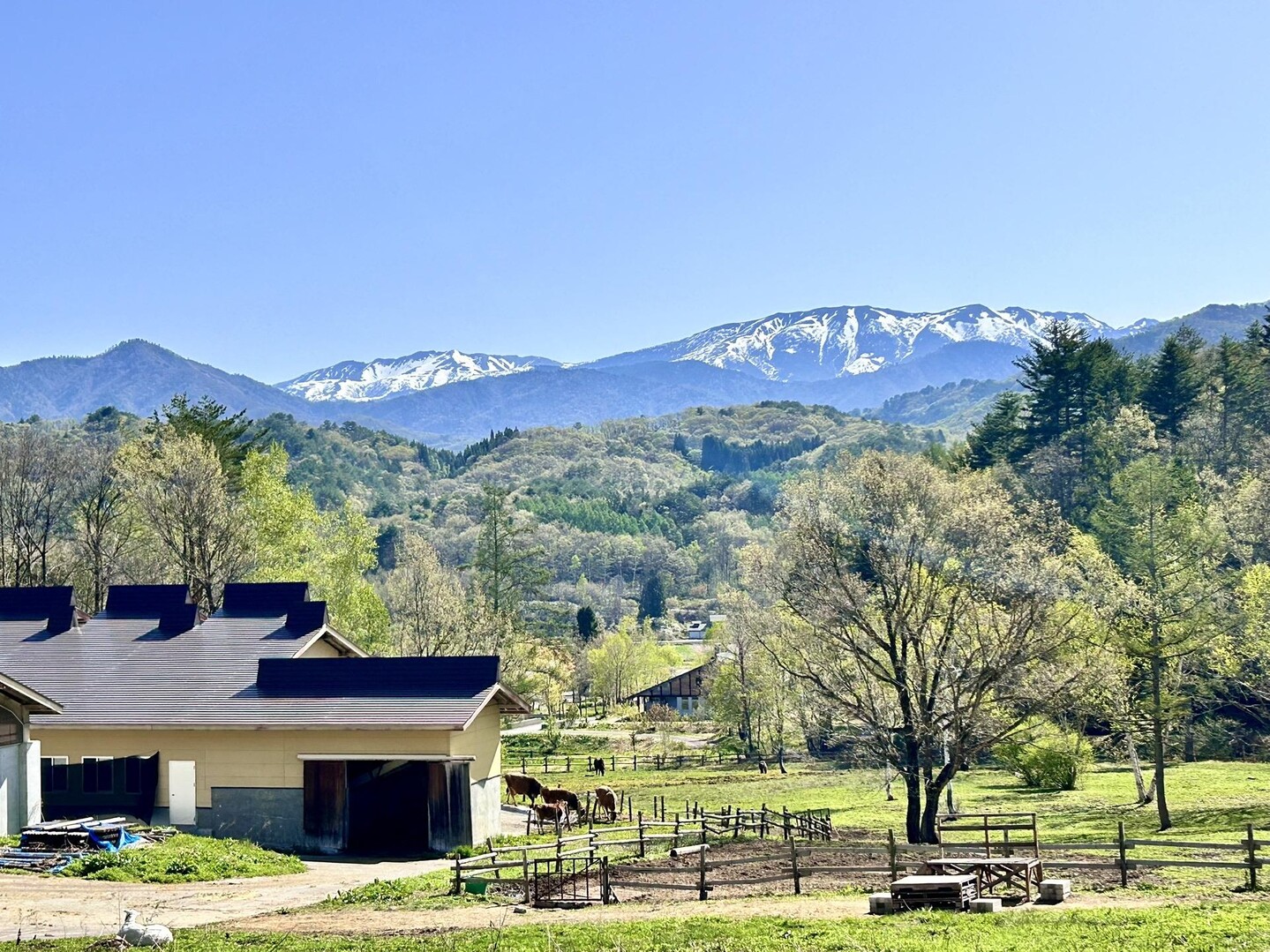 てんてん天蓋山 2登目 / プロテインさんの天蓋山・大鼠山の活動データ | YAMAP / ヤマップ