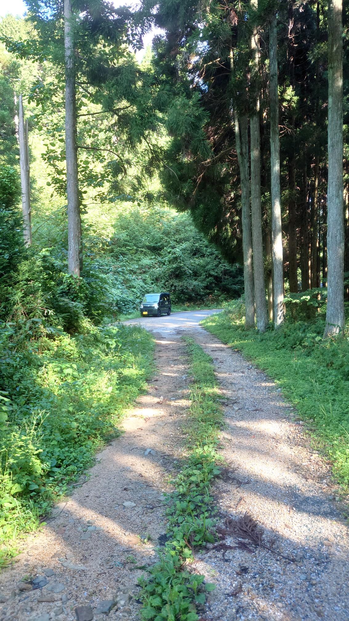 blackmoreさんの投稿したフィールドメモ | YAMAP / ヤマップ