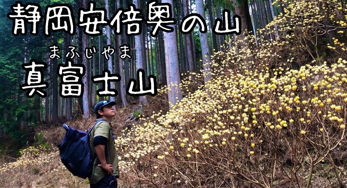 安倍奥登山 真富士山に行きました。 Yo... / JUNさんのモーメント | YAMAP / ヤマップ