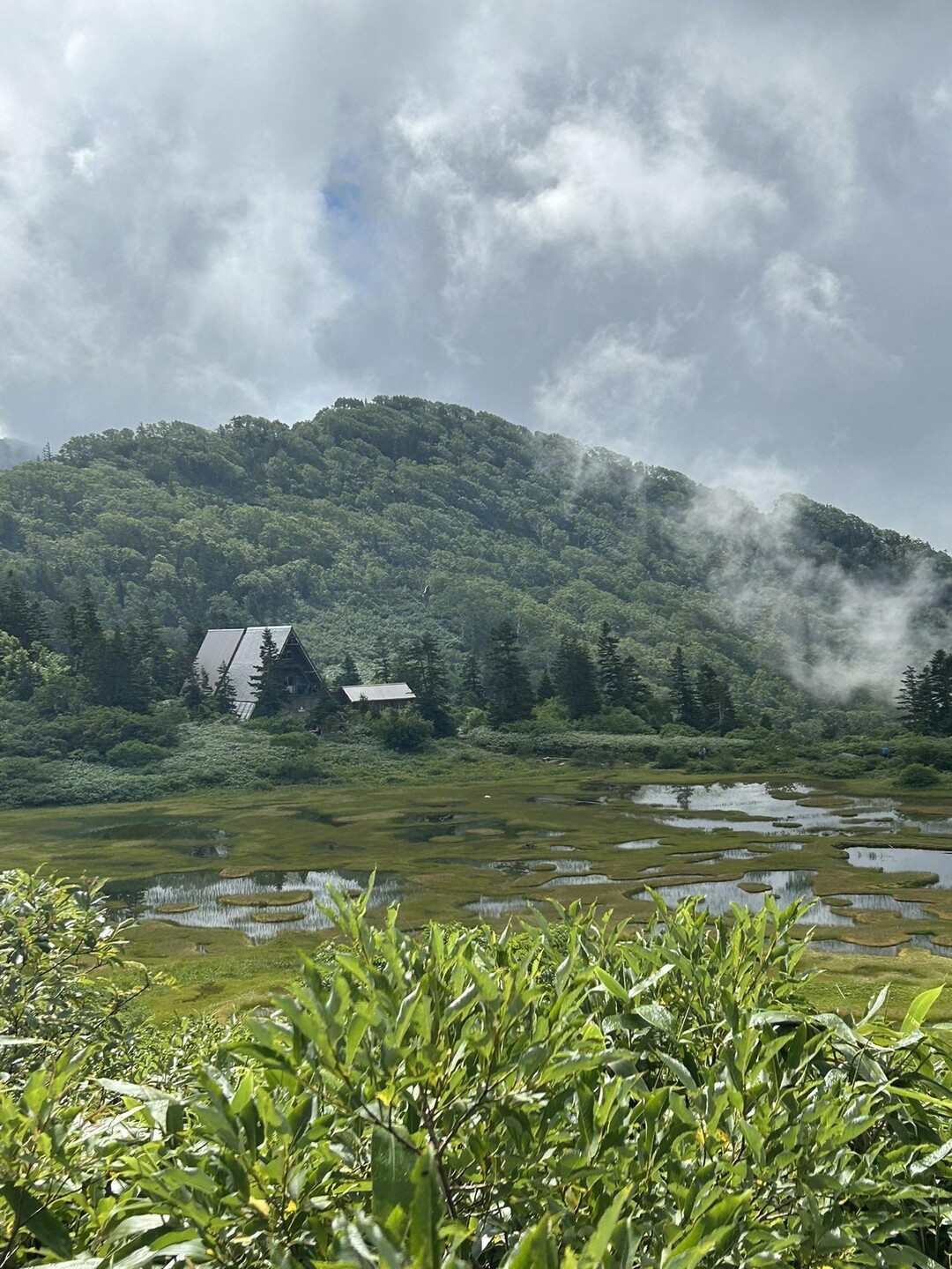 火打山 / nakkoさんの妙高山・火打山の活動データ | YAMAP / ヤマップ