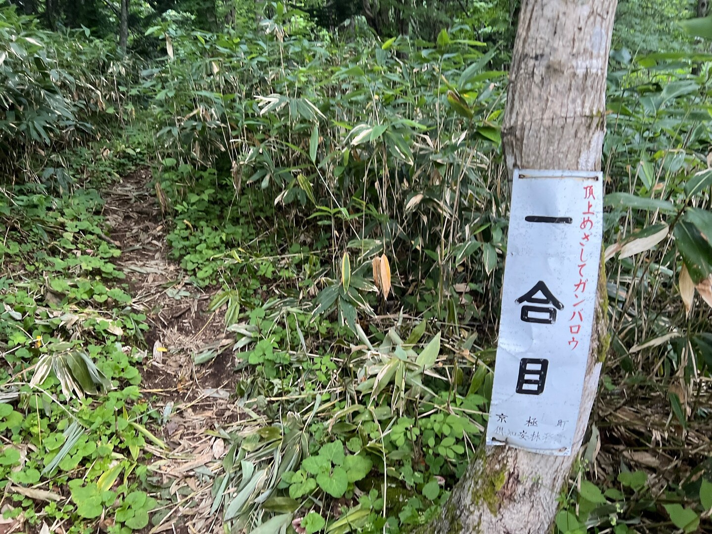 shuさんの投稿したフィールドメモ | YAMAP / ヤマップ