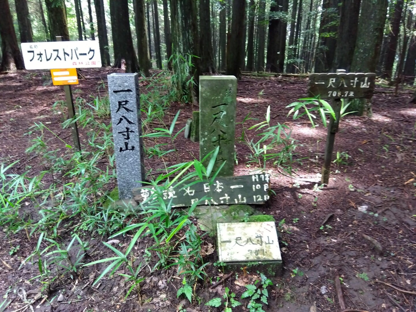 一尺八寸山 (みおうやま) / senbu2(センブツ)さんの大将陣山の活動データ | YAMAP / ヤマップ