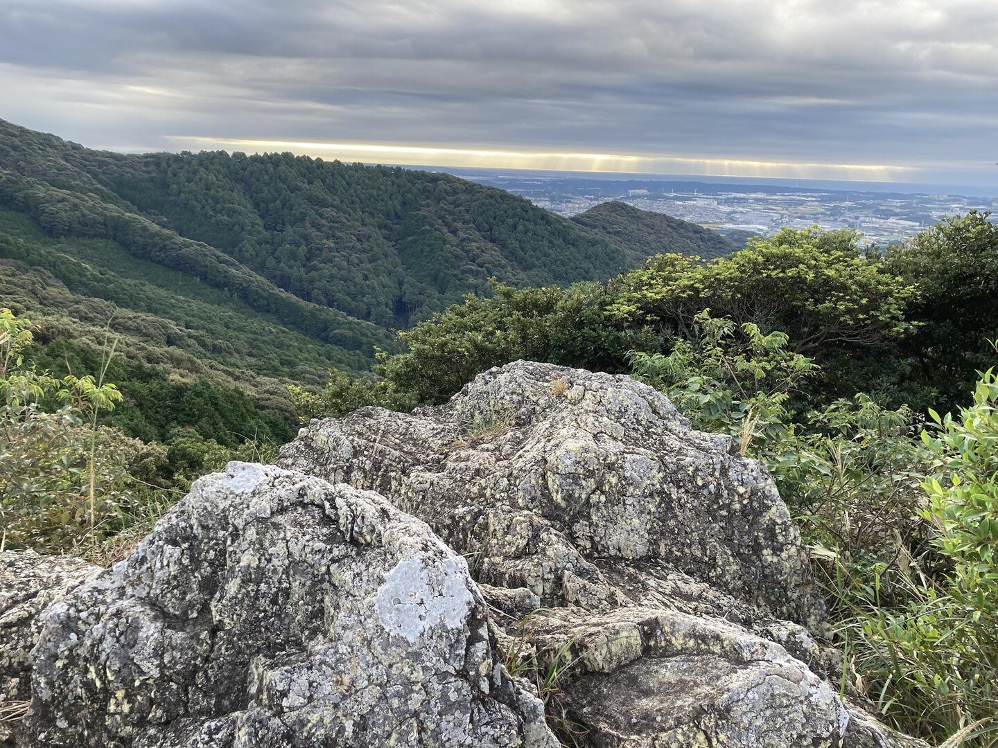 東山・雲谷山・座談山・船形山・神石山 / cocoaさんの坊ヶ峰・石巻山・神石山・葦毛湿原の活動データ | YAMAP / ヤマップ