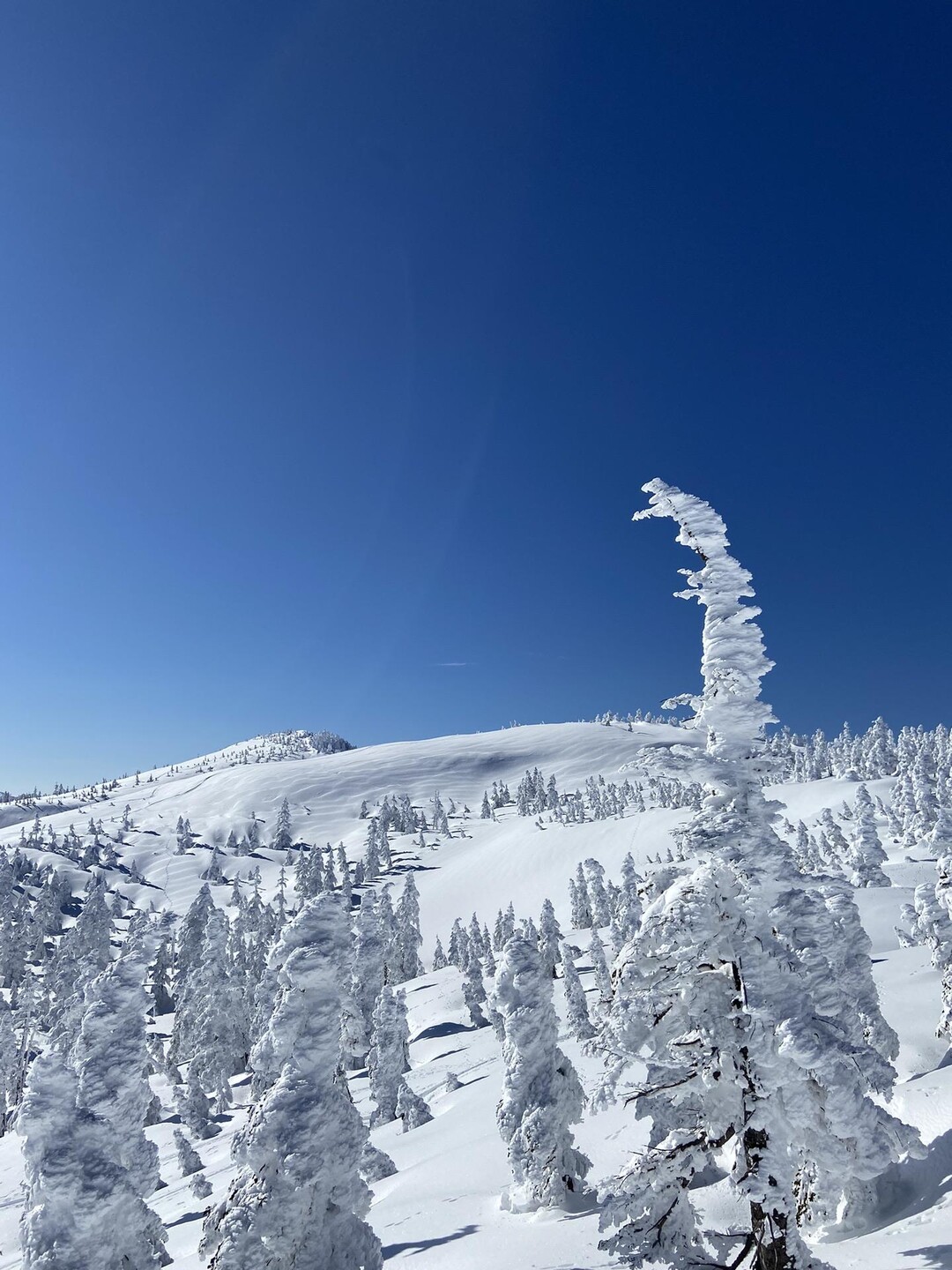 2023.01.07かぐらBC⛷ 最高で... / ワチョさんのモーメント | YAMAP / ヤマップ
