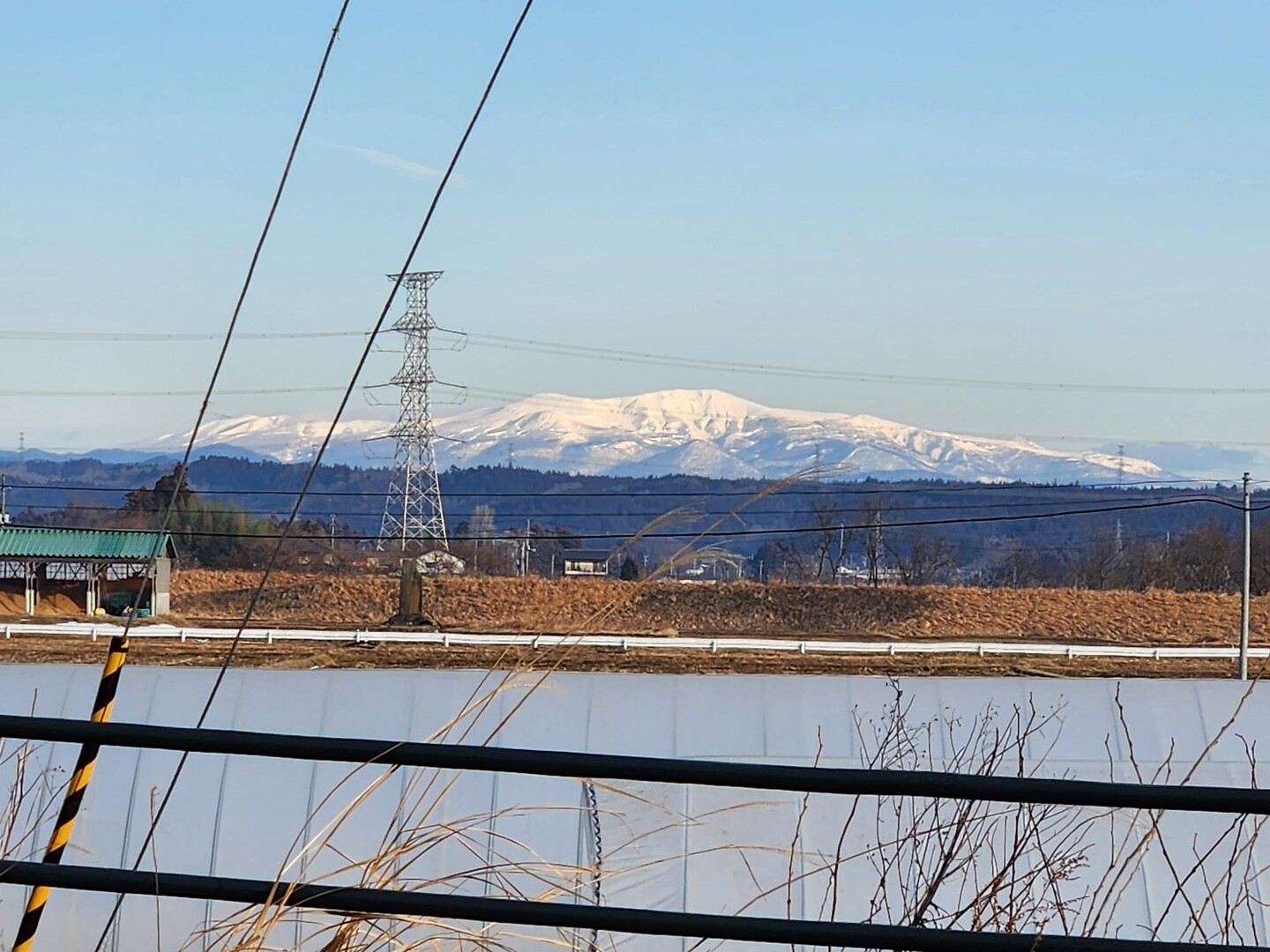 三年目。 / miiさんの薬莱山の活動データ | YAMAP / ヤマップ