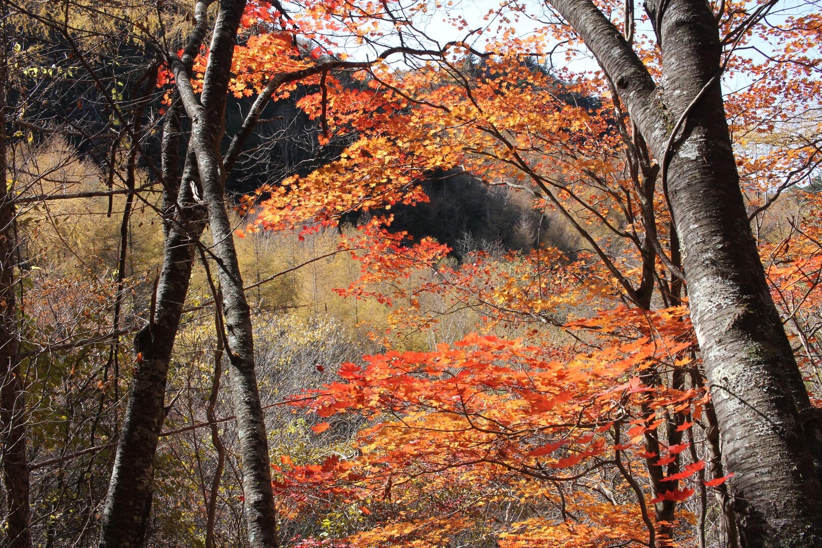 瑞牆山 / KAAZ さんの瑞牆山・金峰山の活動データ | YAMAP / ヤマップ