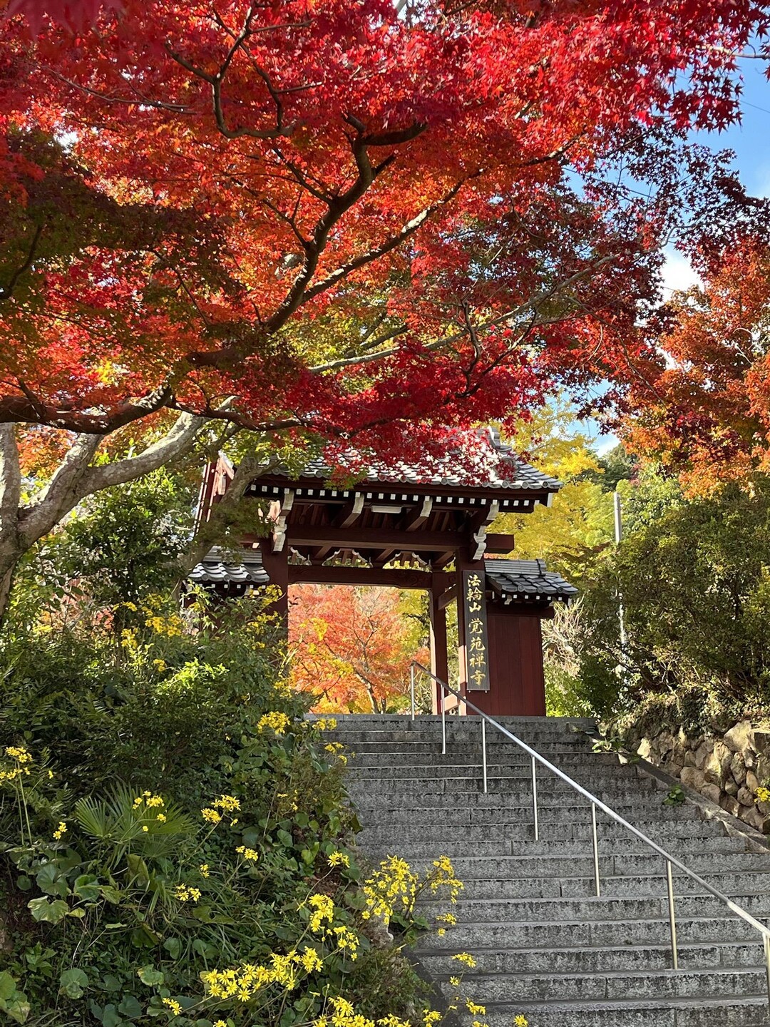 Chofu castle town & 覚苑寺山 / mossybongoさんの火の山・火の山公園・霊鷲山の活動データ | YAMAP / ヤマップ