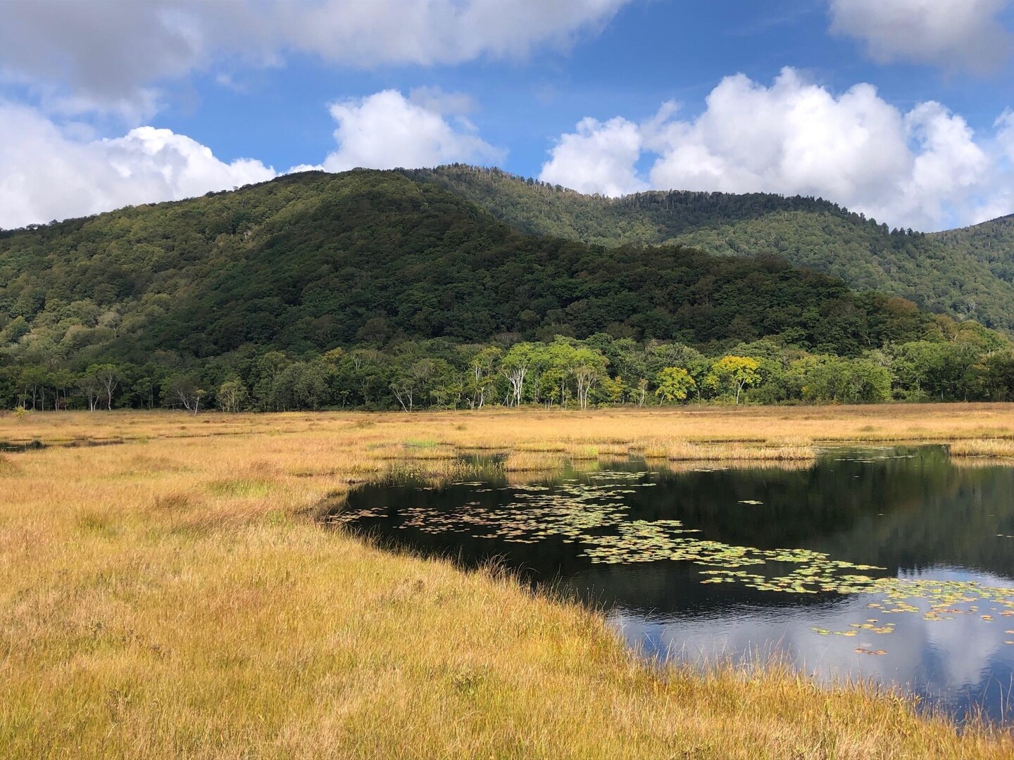 尾瀬呑み＆朝活で燧ヶ岳 / TSさんの尾瀬・至仏山・悪沢岳・笠ヶ岳の活動データ | YAMAP / ヤマップ